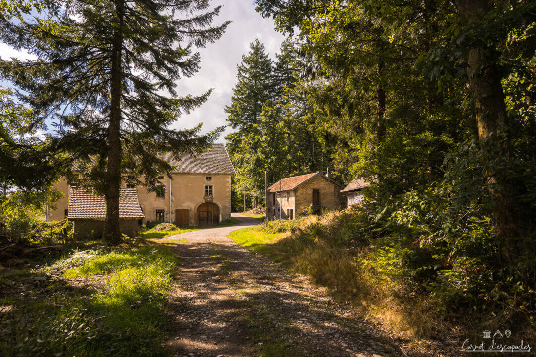 7 idées d'activités et visites autour du Val d'Ajol - Blog Voyage